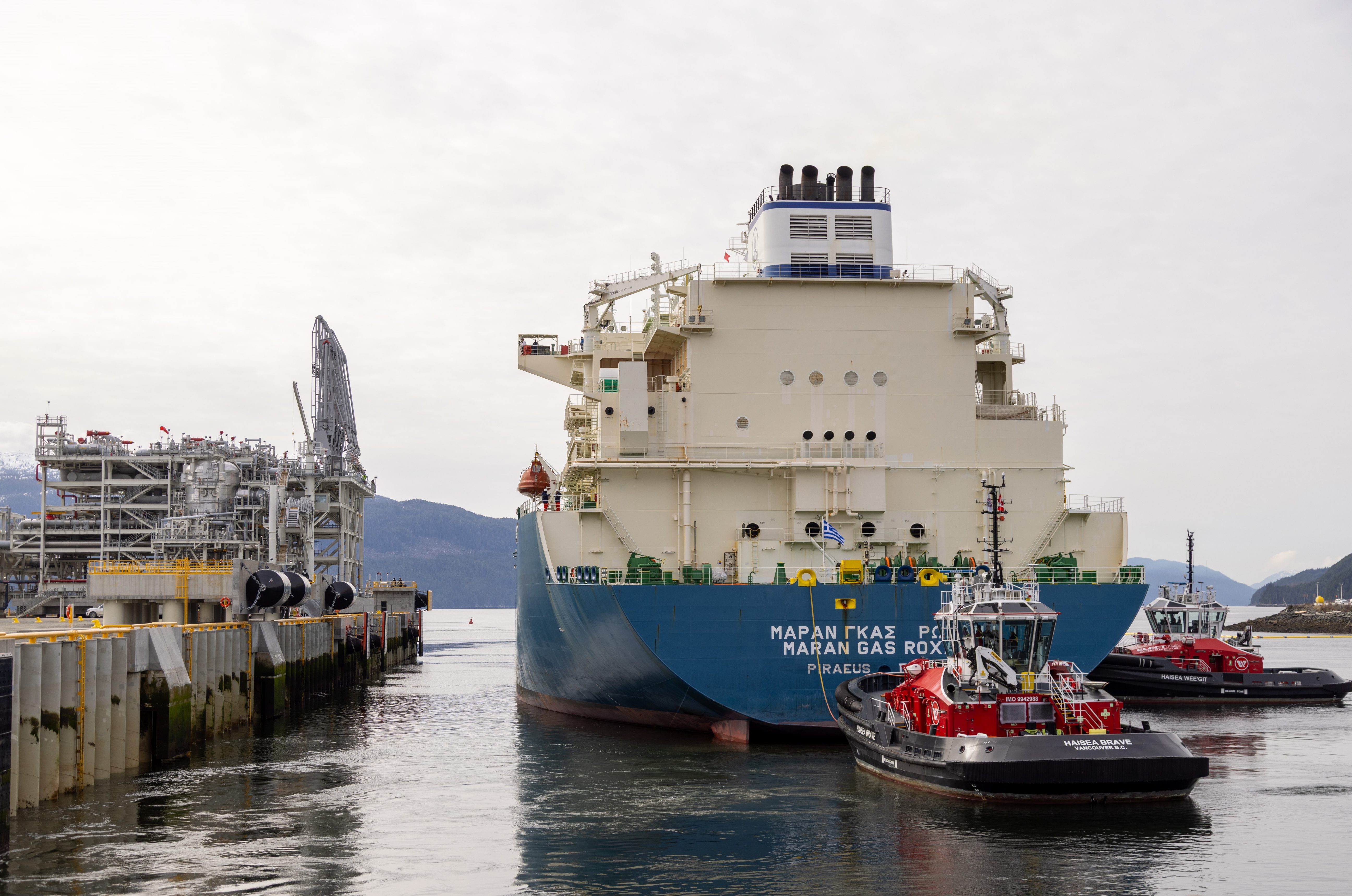 LNG Import Cargo Has Arrived - LNG